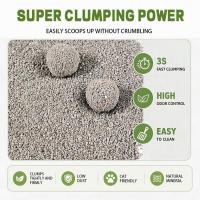 China Premium Sodium Bentonite Fast Clumping Strong Absorption Low Dust Wholesale Bentonite Cat Litter for sale