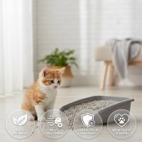 China Low Dust Fine Granules Rapid Absorption Custom Packaging Export Quality Bentonite Cat Litter for sale