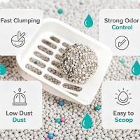 China Low Dust Fine Granules Rapid Absorption Custom Packaging Export Quality Bentonite Cat Litter for sale