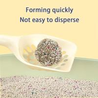 China High Performance Natural Mineral Tight Clumps Easy Scooping Private Label Bentonite Cat Litter for sale