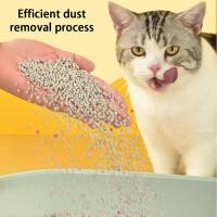 China High Performance Natural Mineral Tight Clumps Easy Scooping Private Label Bentonite Cat Litter for sale