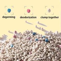 China Premium Mineral Material Quick Clumping Moisture Control OEM Supply Export Bentonite Cat Litter for sale