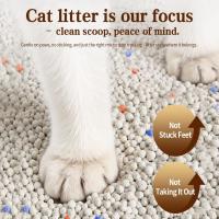China Premium Mineral Material Quick Clumping Moisture Control OEM Supply Export Bentonite Cat Litter for sale