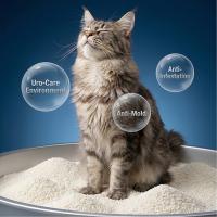 China Natural Strong Clumping Fast Absorption Odor Control Low Dust Custom Packaging Cassava Cat Litter for sale