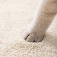 China Professional Manufacturer Natural Formula Fast Clumping Low Dust Strong Absorption Cassava Cat Litter for sale