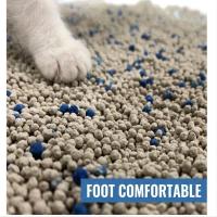 China Activated Carbon Strong Odor Control Fast Clumping Dust Free High Absorption Bentonite Cat Litter for sale
