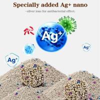 China Fine Granule Fast Clumping Low Dust Excellent Absorption Private Label Packaging Bentonite Cat Litter for sale