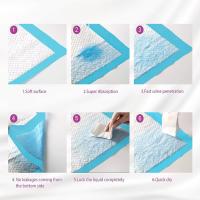 China Dry Surface High Absorbency Waterproof Dog Training Pads for Puppies Home Use for sale