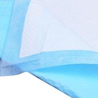 China Waterproof Disposable Multi Layer Pet Toilet Pads with Quick Absorption for Dogs for sale