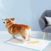 China Premium Absorbent Leakproof Puppy Pads for Dog Housebreaking Indoor Toilet Training for sale