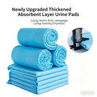 China Premium Absorbent Leakproof Puppy Pads for Dog Housebreaking Indoor Toilet Training for sale