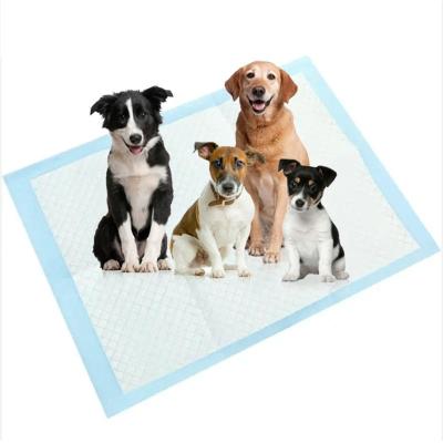 China High Capacity Absorbent Disposable Dog Pads for Puppy Potty Training and Travel for sale