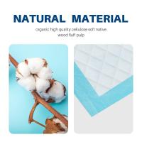 China Multi Layer Leakproof Puppy Potty Pads with Fast Absorption for Dogs Pet Care for sale