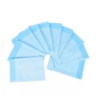 China Odor Absorbing Waterproof Dog Toilet Training Pads for Puppies Indoor Household Use for sale