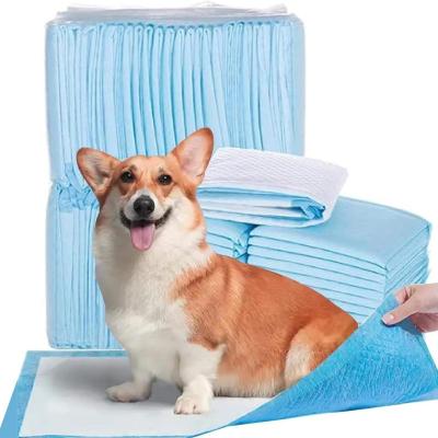 China Odor Absorbing Waterproof Dog Toilet Training Pads for Puppies Indoor Household Use for sale