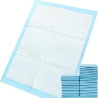 China Odor Absorbing Waterproof Dog Toilet Training Pads for Puppies Indoor Household Use for sale