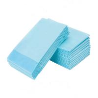 China Quick Absorption Dry Surface Puppy Training Pads for Dogs Cats Indoor Pet Care for sale