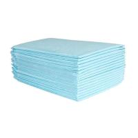 China Quick Absorption Dry Surface Puppy Training Pads for Dogs Cats Indoor Pet Care for sale