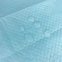 China Leak Resistant Disposable Dog Puppy Potty Pads with Fast Absorption and Odor Control for sale