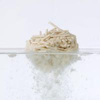 China Soybean Fiber Low Dust Strong Clumping Natural Deodorizing Tofu Cat Litter for sale