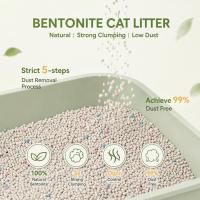 China High Absorbency Strong Clumping Easy Scooping Natural Bentonite Cat Litter for sale