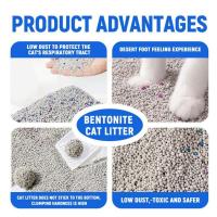 China Low Dust Quick Clumping Superior Odor Control Sodium Bentonite Cat Litter for sale