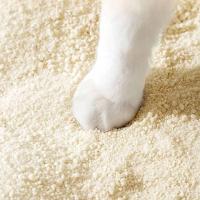 China Strong Odor Control Rapid Clumping Natural Starch Eco-Friendly Cassava Cat Litter for sale