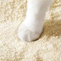 China Premium Plant Based Dust Free High Absorption Custom Packaging Cassava Cat Litter for sale