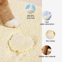 China Dust Free Fast Clumping Plant Based Deodorizing Premium Pet Supplies Cassava Cat Litter for sale