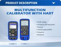 China Measure Resistance Thermocouple RTD Frequency Pulse Switch Multifunction Process Calibrator for sale