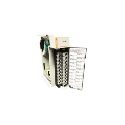 China Allen Bradley 1769-PA4 Compact Power Supply 120/240VAC Input Module for sale