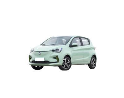 China Pure Electric Mini EV Cars Max Speed 101 Km/H Long Range 310KM for sale
