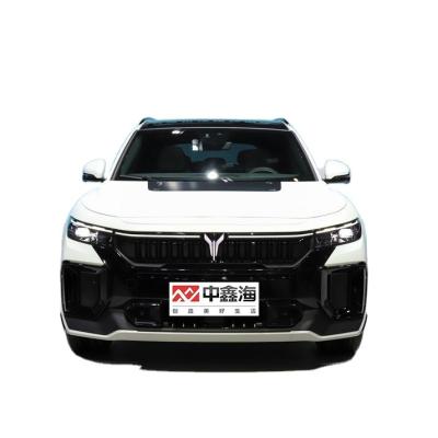 China 2022 Factory Direct Sales High Quality 4 Seats Cheap Electric Adult Car 4 Wheel VOYAH FREE 2022 DNA Design Pure Electric Edition for sale