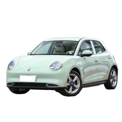 China Hot selling Great Wall Oula 401KW adult electric vehicle for sale