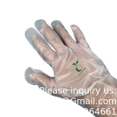 China 100% Compostable Gloves, Cornstarchgloves, Food Service Disposable Gloves, Food Prep Cooking Gloves, Eco-Friendly