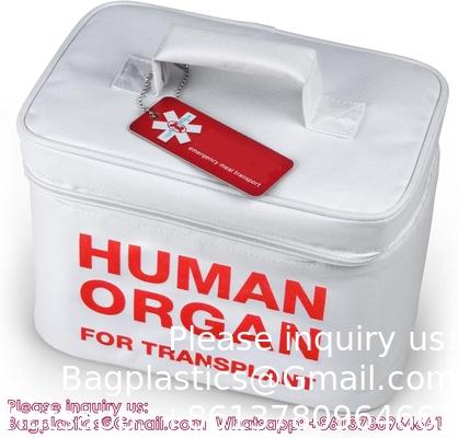 China Medical Products Specimen Transport Bag: Insulated Biohazard Cooler For Healthcare Pros And Lab Specialists