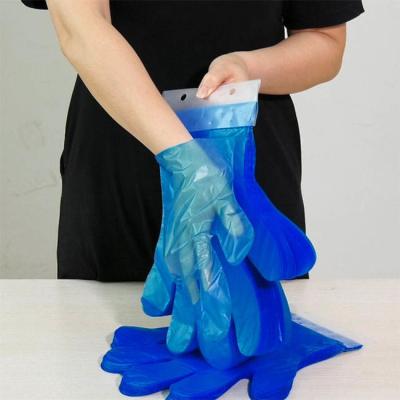 China Wholesale Disposable HDPE LDPE CPE Poly Gloves Food Grade 1.5g-3.5g Multipurpose Cleaning Transparent for sale