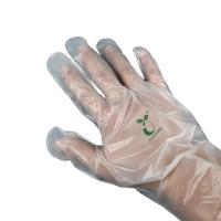 China 100% Compostable Cornstarch Disposable Gloves 200 Pack X-Large 27x30cm Food Prep Eco-Friendly for sale