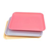 China Autoclavable Dental Plastic Flat Instrument Tray 340x240mm High Quality Durable for sale