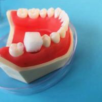 China Absorbable Gelatin Hemostatic Sponge 50g 100pcs Dental Medical Use OEM for sale