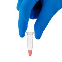 China EO Sterile 1.5ml Polypropylene Microcentrifuge Tubes with Snap Cap 500 Pcs for sale