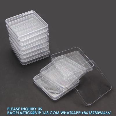 China Sterile Square Petri Dish 100mm x 17mm Polystyrene with Alphanumeric Gridlines for Lab for sale