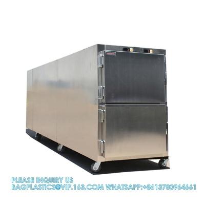 China 2 Body Mortuary Refrigerator 304 Stainless Steel 0 to -10°C Morgue Freezer for sale