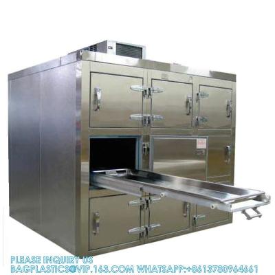 China 1 to 9 Body Morgue Fridge Corpse Cold Storage Chamber Dead Body Refrigerator German Compressor 220V 50Hz for sale