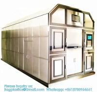 China Mobile Human Cremation Oven 380V 10-200kgs Batch Capacity Smokeless Crematorium Incinerator for sale