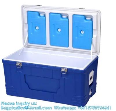 China Custom Medical Organ Transport Insulated Cooler Box 80 Can Capacity Leak Proof Portable Ice Chest for sale