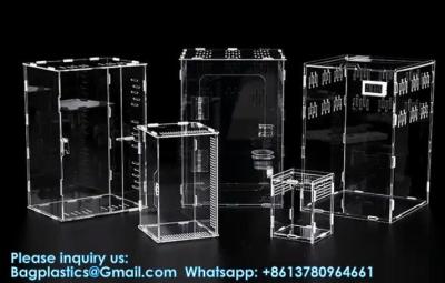 China Acrylic Reptile Terrarium Clear View Transparent Feeding Box for Small Animals Insects Custom Size for sale