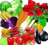 China TCA Fruit And Vegetables IQF Freezing Line Frozen Vegetable Green Bean Sweet Corn Production Line for sale