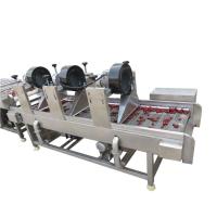 China Industrial Fresh Potato Automatic Fruit Vegetable Washing Line for sale