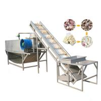 China Commercial cherry tomato fruit washing sorting line vegetable processing line equipment kitchen equipment for sale